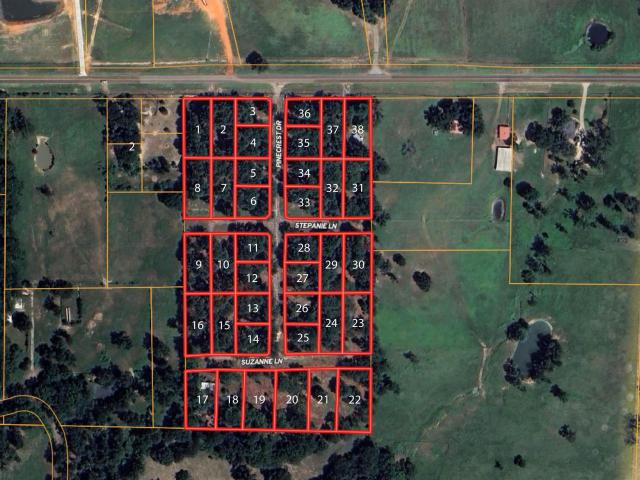 12051 Stephanie Ln, Flint, TX 75762 | MLS #25016