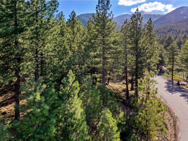 1205 Douglas Fir Dr, Reno, NV 89511 | MLS #1018