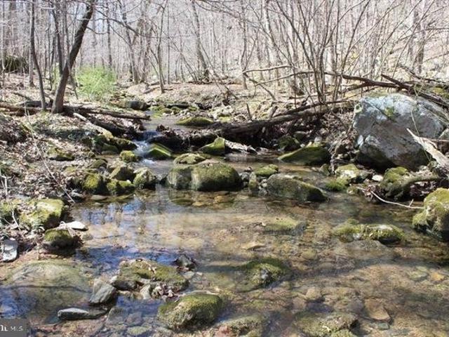 1205 Pine Ridge Ext, Wardensville, WV 26851