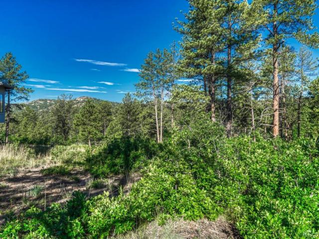 1205 Wildcat Bend Court