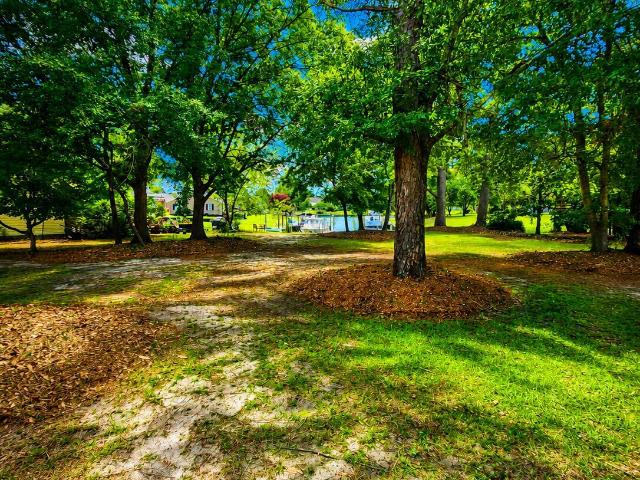 1206 Pelican Drive # 204