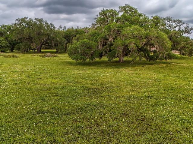 1207 Mill Road