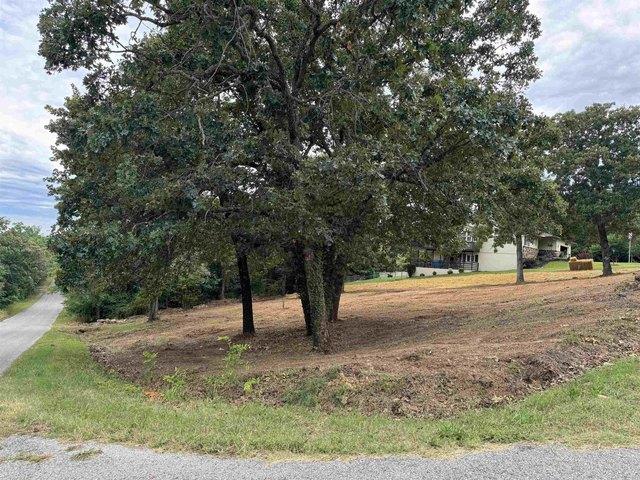 1207 N Shore Dr, Horseshoe Bend, AR 72512