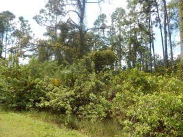 1207 Dayton Ave, Lehigh Acres, FL 33972