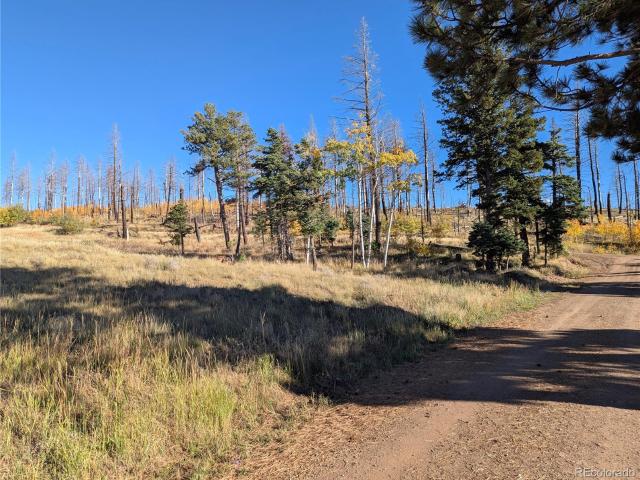 1207 Emery Loop, Fort Garland, CO 81133 | MLS #6244