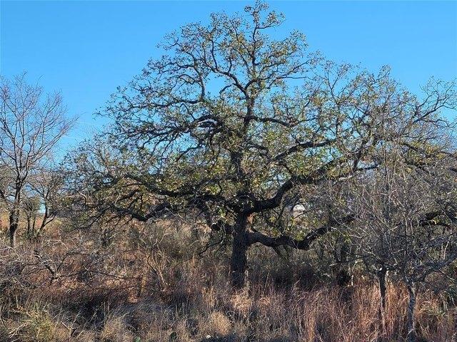 1207 Rockcrest Dr, Granite Shoals, TX 78654