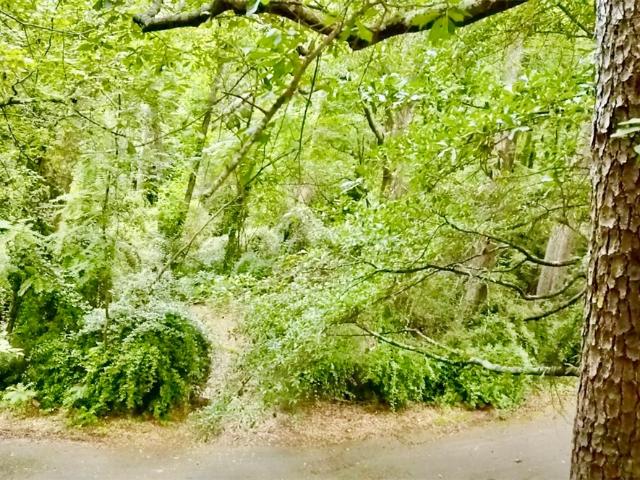 1208 Echo Hollow Road