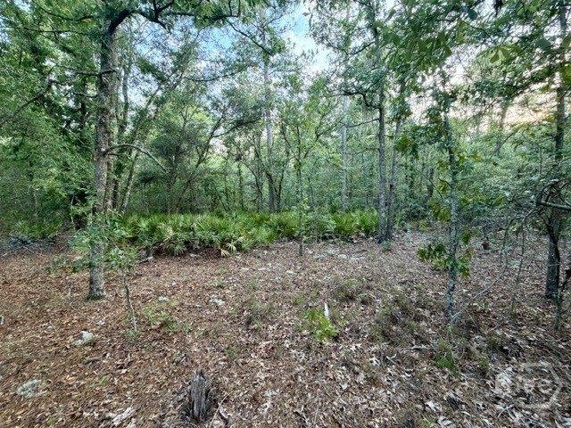 1208 Hillside Dr, Claxton, GA 30417