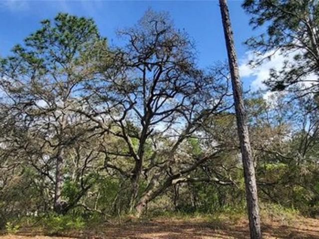 12090 Osprey Ave, Weeki Wachee, FL 34614