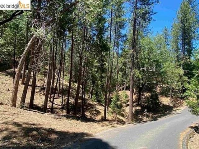 12000 Trapper, Groveland, CA 95321