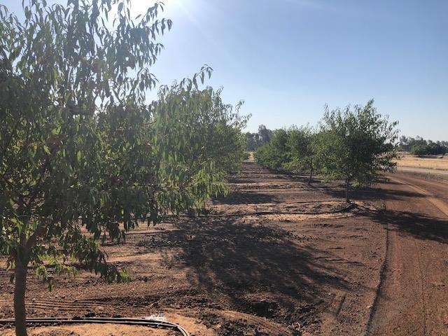 12000 E Shaw Ave, Clovis, CA 93619 | MLS #631854 | Compass