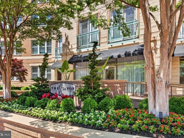12000 Market St Apt 266, Reston, VA 20190