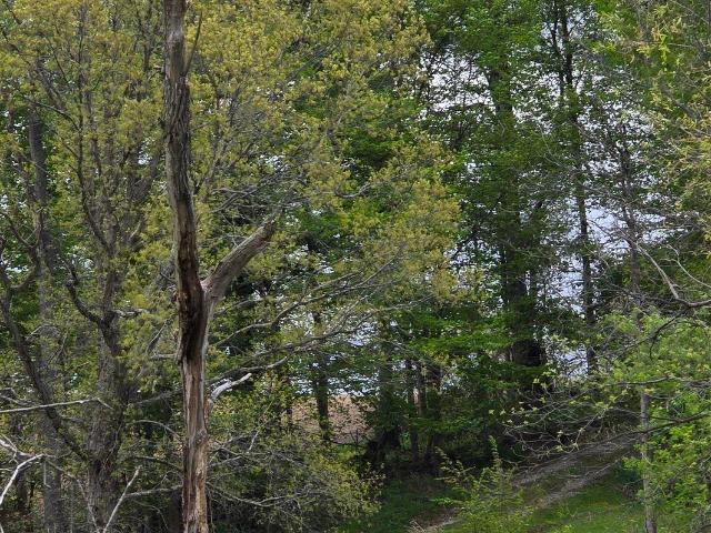 12000 Slee Road