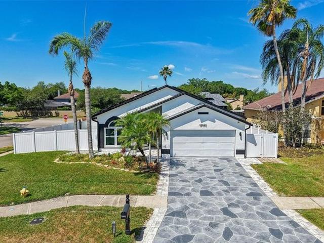 12002 W Pond Way, Tampa, FL 33635