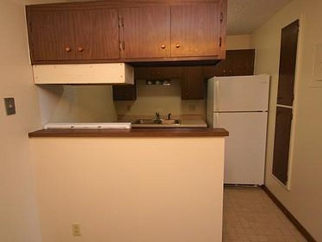 1200 Cheri Lane NE 3 Bedroom Apartment for Rent at 1200 Cheri Ln Ne, Columbia Heights, MN 55421 Columbia Heights