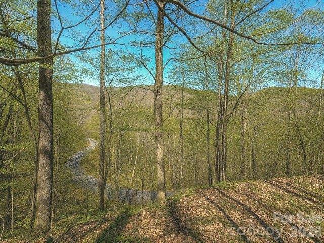 1200 Chestnut Flats Ln Unit 138, Waynesville, NC 28786