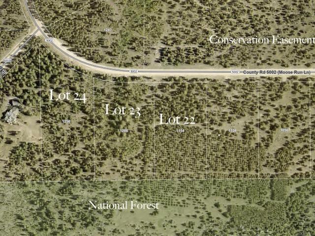1200 Gcr 5002aka Moose Run Ln, Fraser, CO 80442 | MLS #25 1524