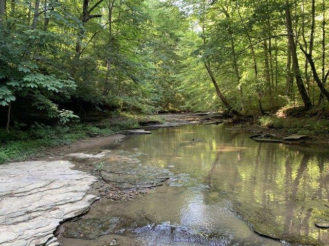 1200 Jay Wheeler Rd, Columbia, KY 42748