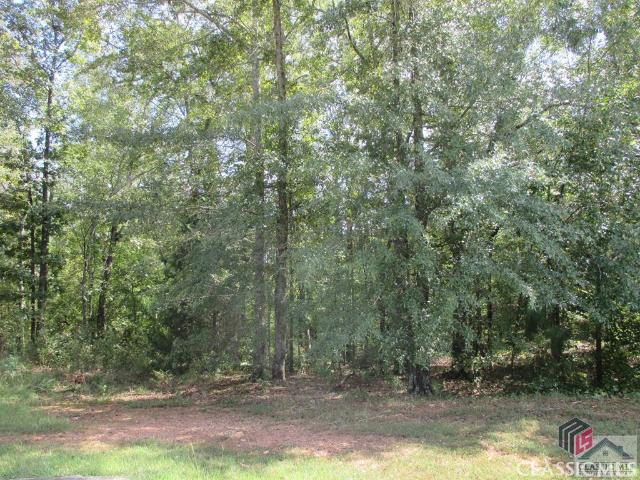 1200 Ryland Hills Dr. Watkinsville, GA 30677 | MLS #CM1025