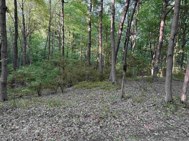 1200 S Rd, Haubstadt, IN 47639