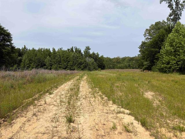 1200 Sand Ridge Bargerton Rd, Lexington, TN 38351 | MLS #10221