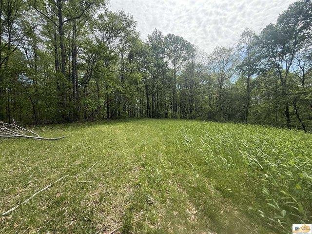 1200 Sandlick Rd, Columbia, KY 42728