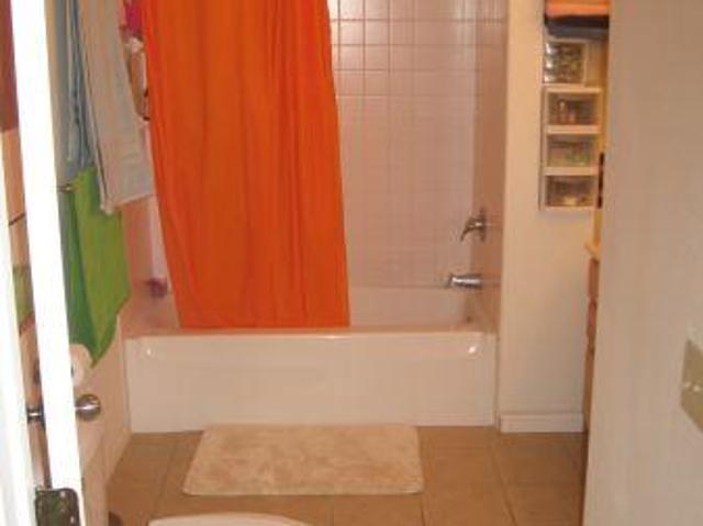 $1200 / 2br 1200ft² Great Summer Living, Downtown, Porch and Free Laundry 314 East Mifflin St