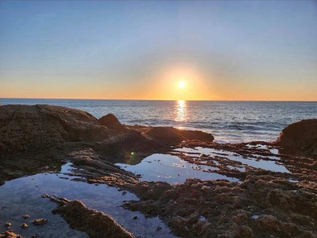 $1200/mo private room in Ocean Beach, move in 8/1