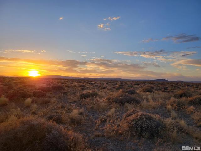 12017 Power Line Rd, Fallon, NV 89406 | MLS #260003 | Compass