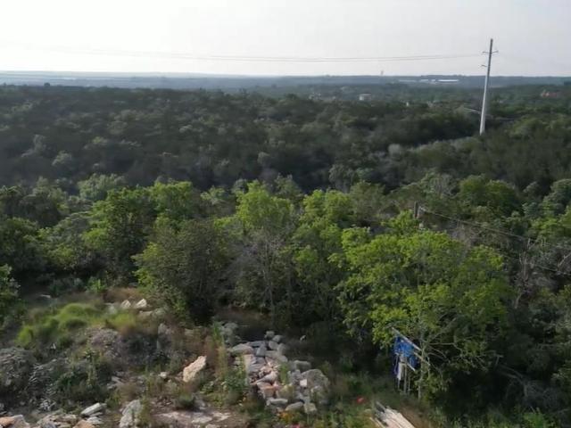 12015 Buckner Rd