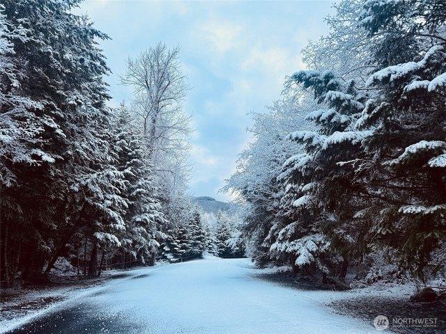 12016 Elk Trails Dr E Lot 2, Greenwater, WA 98022
