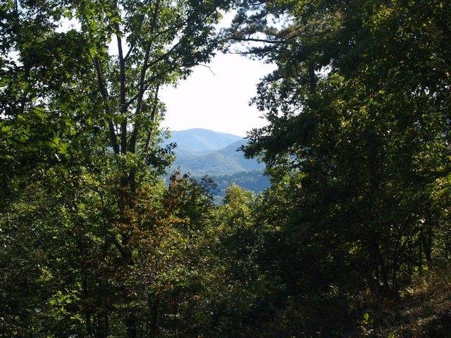 1201 Dogwood Trl, White Sulphur Springs, WV 24986