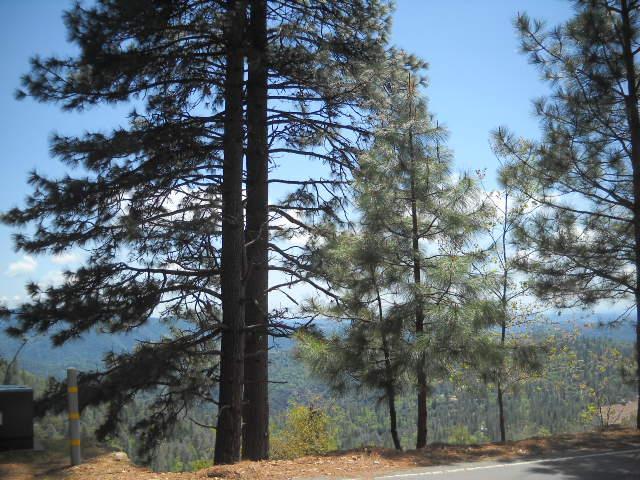 1202 Heather Dr, Murphys, CA 95247 | MLS #226085