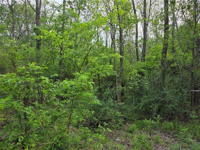 1202 Rosemary St, Greenville, TX 75401