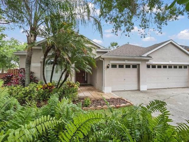 12033 Northumberland Dr, Tampa, FL 33626