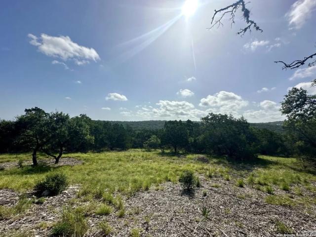 12033 Summer Meadows, Spring Branch, TX 78070 | MLS #1964