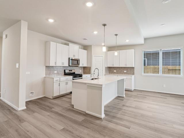 12030 Shining Lake Drive