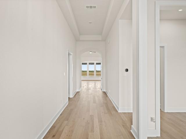1203 Basset Hound Drive