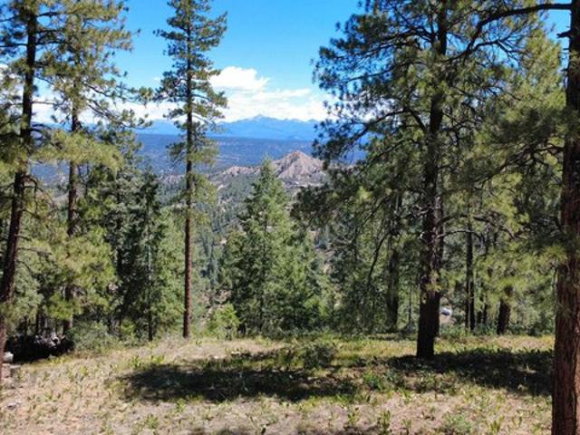 1203 Gun Barrel Rd, Pagosa Springs, CO 81147