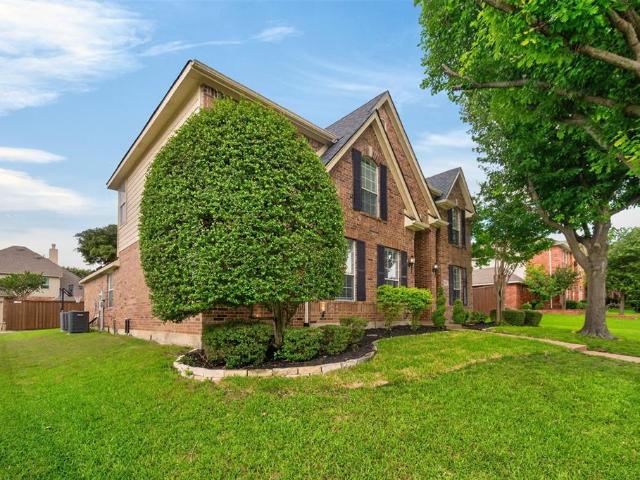 1203 Rainforest Lane