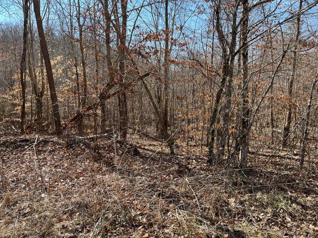 120.43ac E O Mill Creek Rd