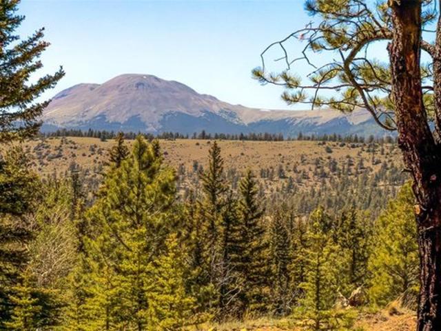 120 Chubb Ct Lot 15, Buena Vista, CO 81211