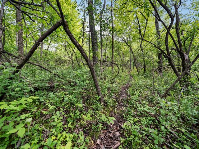 120 AC County Highway E