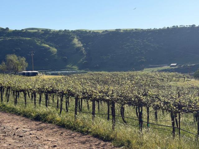 120 acres Airline Hwy, Tres Pinos, CA 95075 | MLS #ML82040