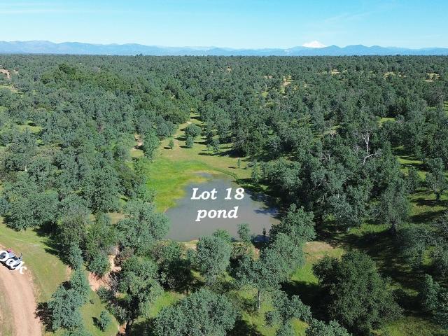 120 acres golden oak/lawndale