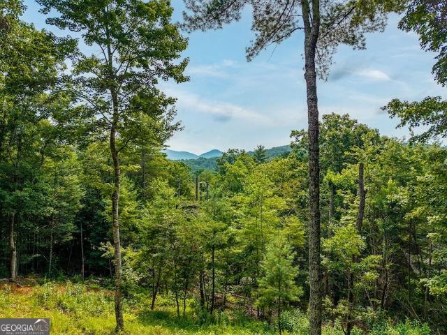 120 Bell Camp Ridge Road