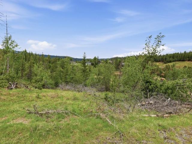 120 Blazing Saddles Ct, ID 83850