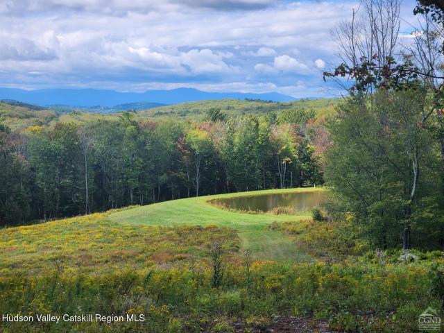120 Highway 203, Austerlitz, NY 12037 | MLS #20253