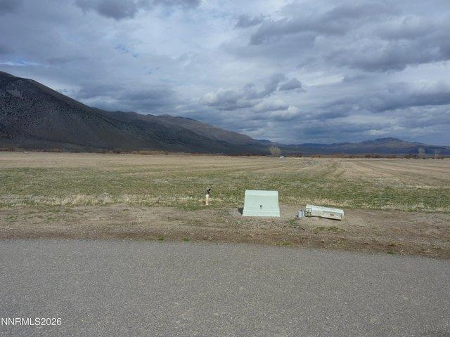 120 Oreana Peak Rd, Wellington, NV 89444