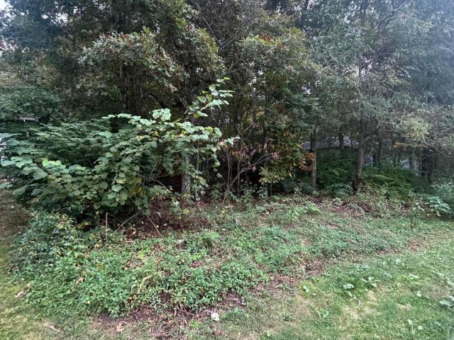 120 Meadowview Drive